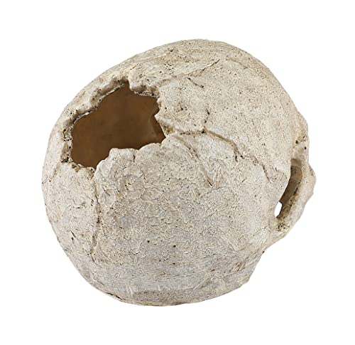 Half Skull Reptile Amphibian Habitat Hide β Premium Non-Toxic Resin for Aquariums & Terrariums β Large Size