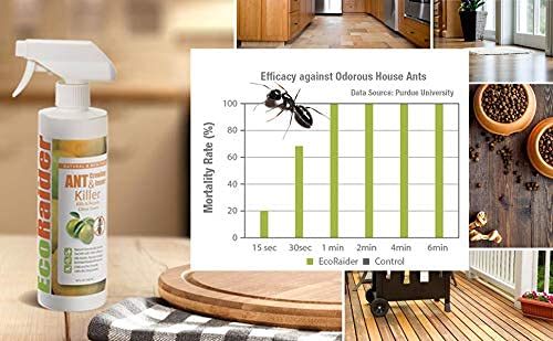 EcoVenger by EcoRaider Ant Killer & Crawling Insect Killer (Citrus Scent) 16oz, Kills Fast, Also Kills Spiders, Centipedes & More, Repels with Residual, Natural & Non-Toxic, Children & Pets Safe