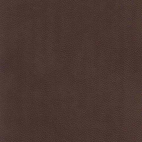 Hydeline Royce Zero Gravity Power Recline and Headrest Top Grain Leather Sofa Couch, 87", Brown