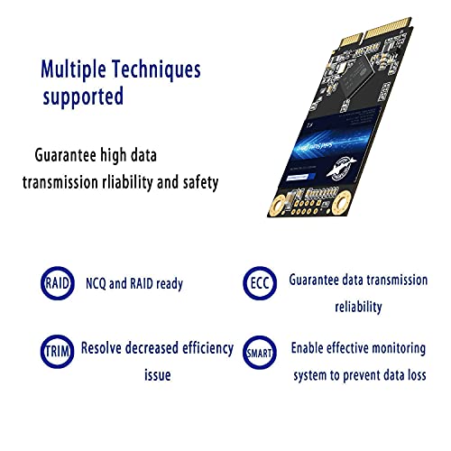Dogfish mSATA SSD 250GB 3D NAND TLC SATA III 6 Gb/s, mSATA (30x50.9mm) Internal Solid State Drive - Compatible with Desktop PC Laptop - (MSATA 250GB)