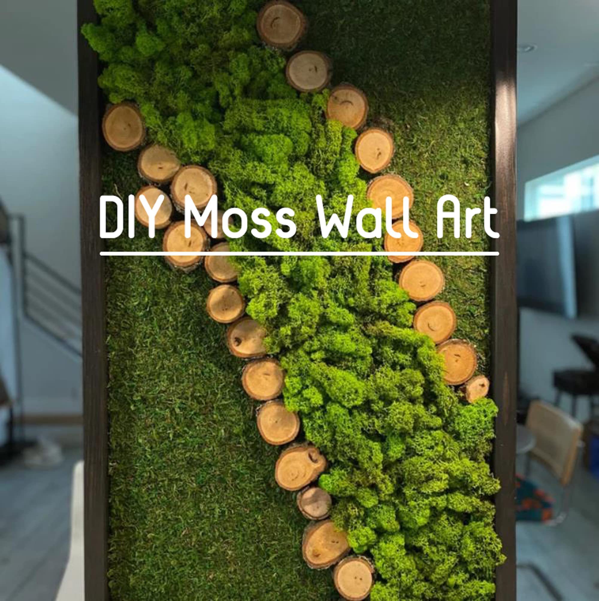 Prefleur Preserved Reindeer Craft Moss Natural Green DIY Kit Gardenning Art Wall Florist Easter Table Wedding(0.85lb)(Green-05)