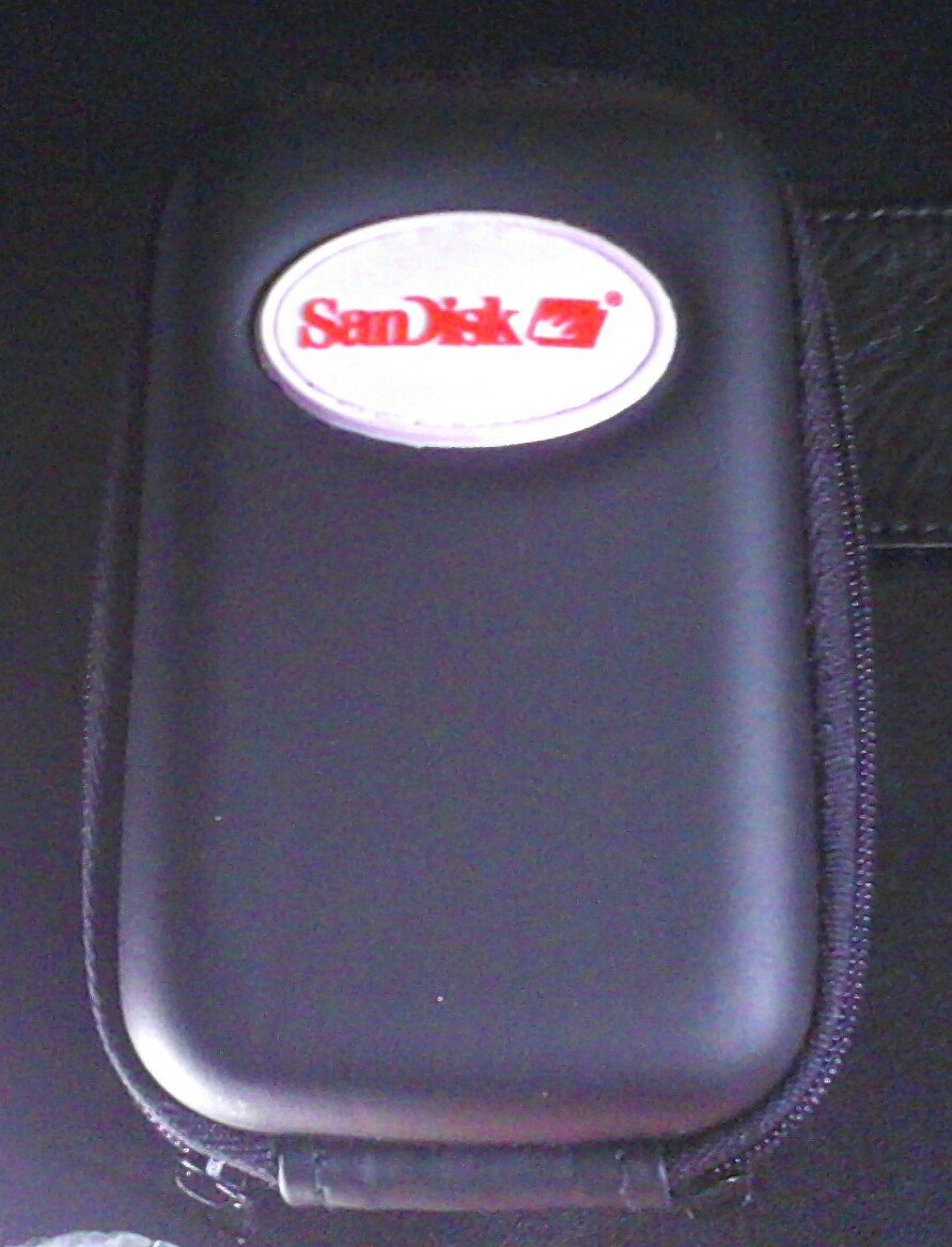 SanDisk Sansa e250 2 GB MP3 Player with microSD Expansion Slot (Black)