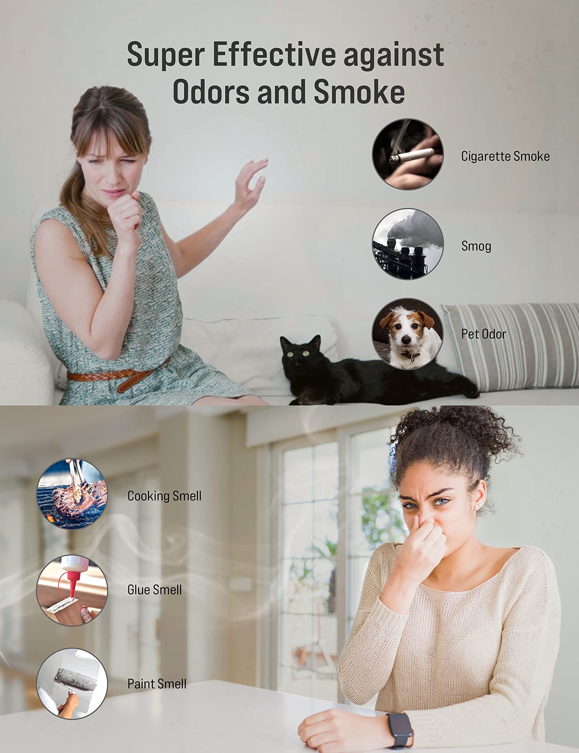 TOPPIN Filter Replacement H13 True HEPA Air Filter for TOPPIN TPAP005 AP005 TP-AP005 Air Purifier to Clean Pets Hair Smoke Odors Dust Pollen Home and Room 1500 to 2000 sq ft