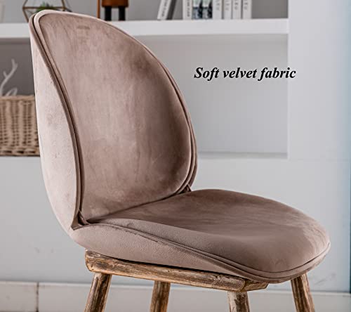 DUOMAY Velvet Dining Room Chair, Modern Farmhouse Side Chair Makeup Vanity Chair with Back for Kitchen Dining Room Living Room, Wood Base, Grey