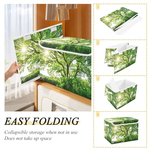 DIGTIA Storage Bins with Lids Majestic Green Tree Foldable Storage Boxes with Handles Sun Shines Large Storage Basket Collapsible Organizer Containers for Closet Home Bedroom Office