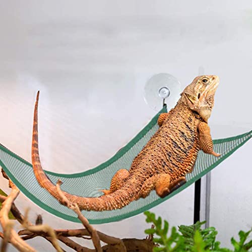 Lucky Interests 8 pcs Reptile Hammock Lounger, Lizard Hammock with Strong Suction Cup Triangle Bearded Dragon Lounger for Iguanas Geckos Lizards Anoles Snakes with 8 Reptile Food Bowl (Green, Black)