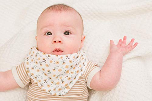 lulujo Soft Cotton Baby Bib, 2 Pack, Vintage Floral/ Dragonfly