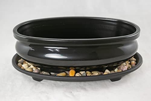 Calibonsai 9'' Oval Heavy Duty Black Plastic Bonsai Training Pot, Cactus & Succulent Planter + Tray + Rock + Mesh Combo
