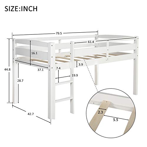 Harper & Bright Designs Low Loft Bed Twin Size, Twin Loft Bed Frame with Ladder and Safety Guardrails, Wood Loft Bed for Kids, Toddlers, Teens (Twin, White)