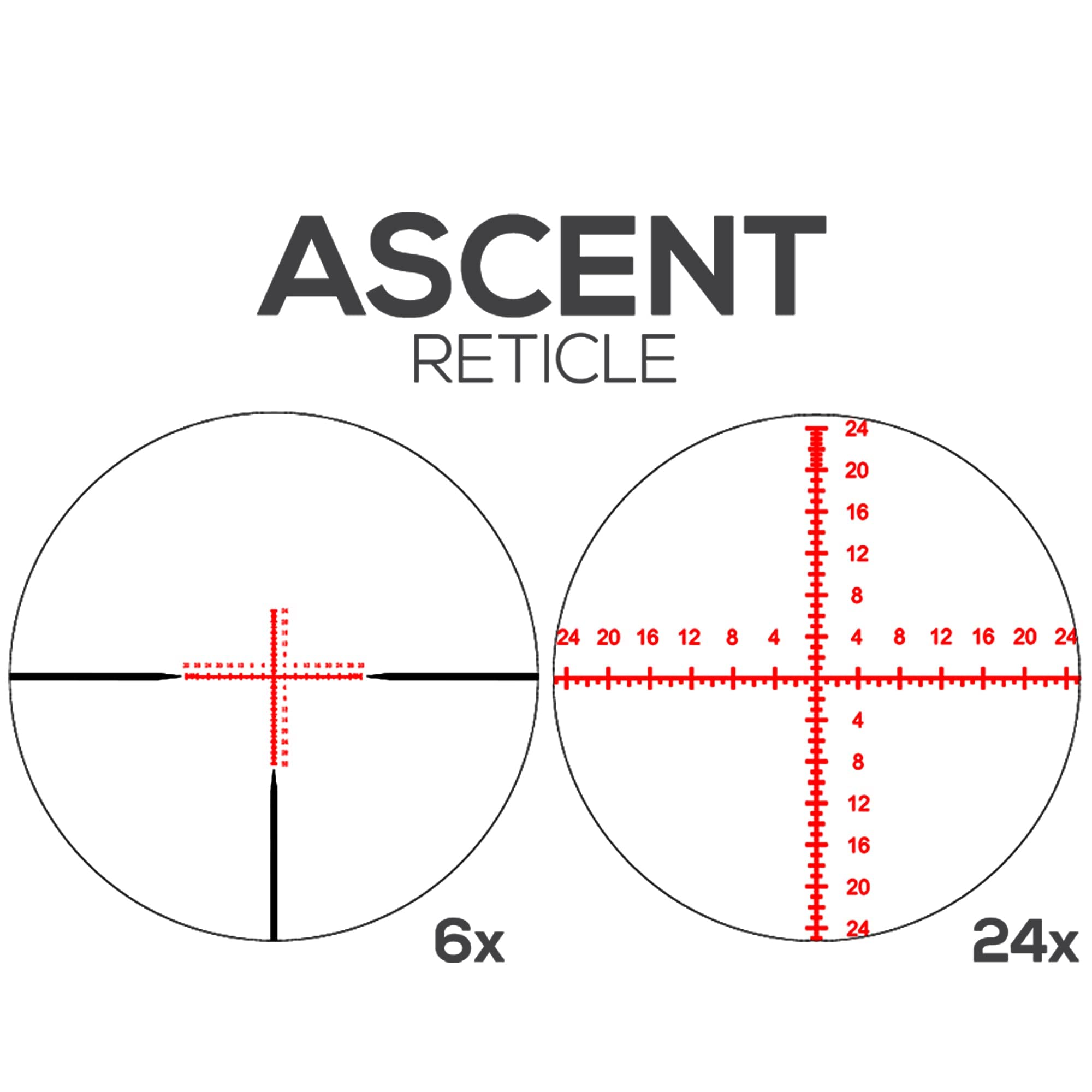 Blackhound Optics Genesis 6-24x50 FFP MOA, Illuminated 1/4 MOA Reticle, Zero Stop and Parallax with 30mm Rings, 50mm Hood and Mounting Bubble Levels