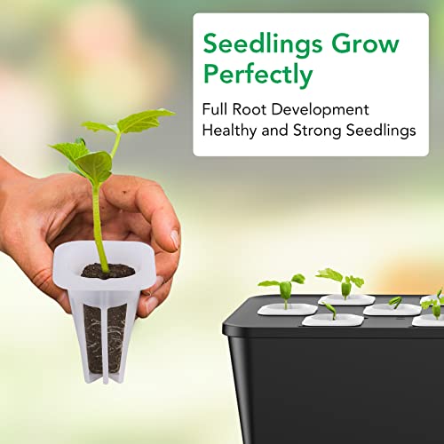 JustSmart 60 Pack Growth Sponges, Replacement Root Growth Sponges Seed Pods Compatible IGS-20SE, Seedling Starter Sponges Kit for Hydroponic Growing System Indoor Garden