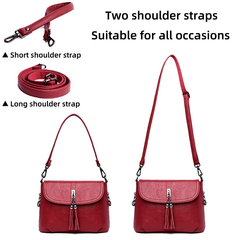 MINTEGRA Crossbody Bag for Women with Tassel Functional Shoulder Purse Saddle Messenger Bag