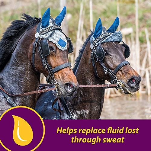 Horse Health Apple-Dex Apple Flavored Electrolytes for Horses, Replaces minerals lost during exercise, under stress or extreme weather conditions, 5 pound