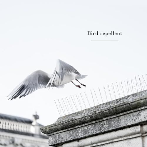 Cabilock Bird Spikes Stainless Steel Bird Blinder Bird Repellent Deterrent Spikes for Pigeons Birds