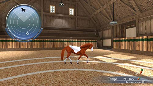 My Riding Stables 2: A New Adventure (PS4)