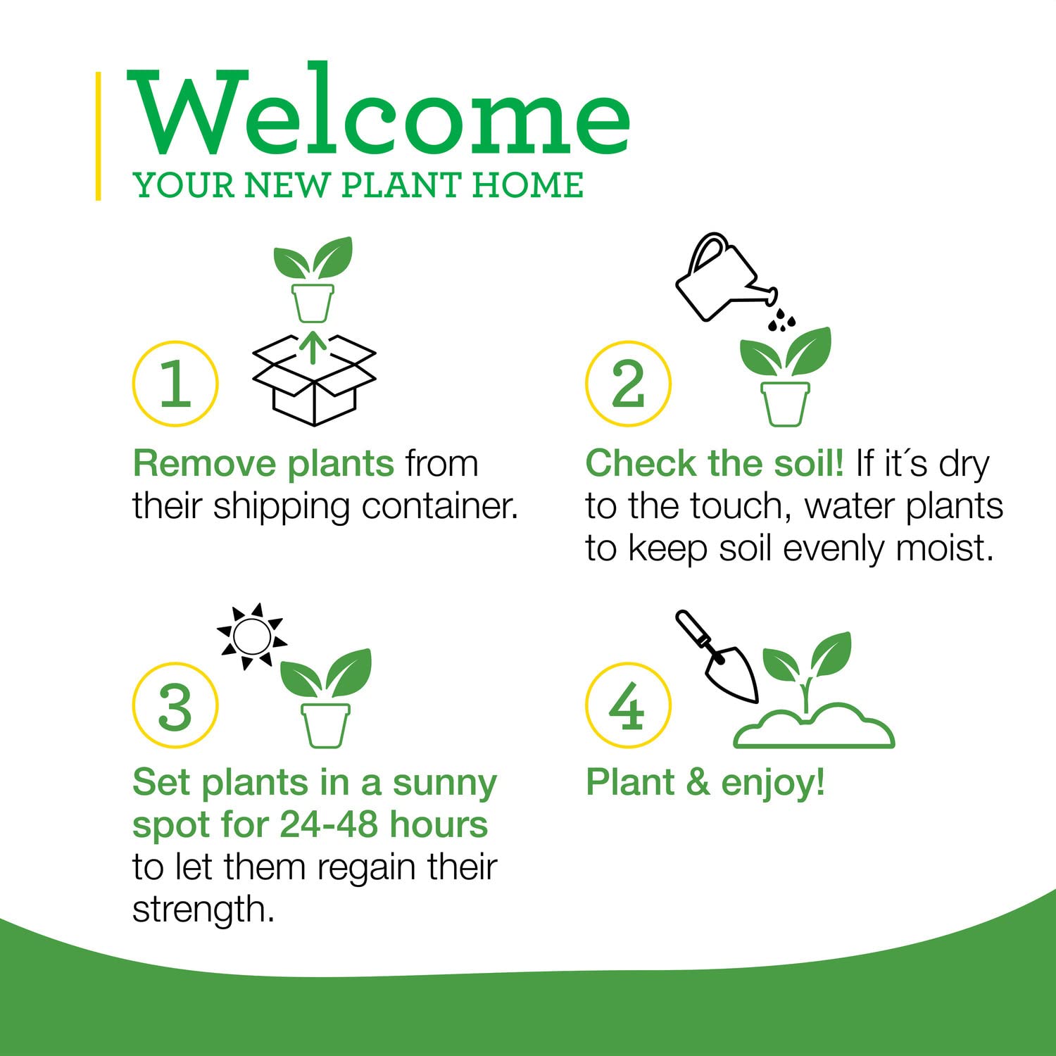Bonnie Plants Big Boy Tomato Live Vegetable Plants - 4 Pack, 6 - 10 Ft. Plants, 16 - 32 Oz. Tomato Size