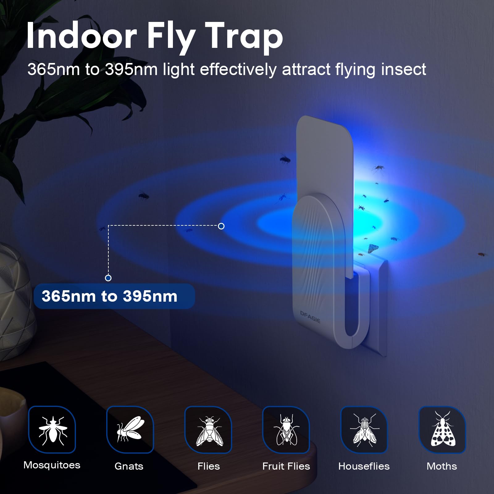 DFAGIE Fly Trap Indoor(1 Device + 5 Glue Cards), Mosquito Trap,Fly Trap,Plug-in Flying Insect Trap for Flies, Fruit Flies, Mosquito, Moths, Gnats, Gnat,White