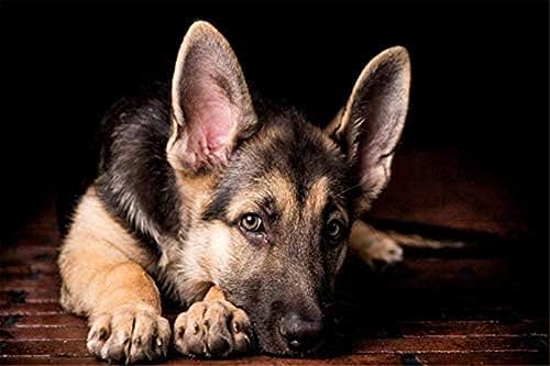 Eiialerm Cross-Stitch Kits German Shepherd Standing Ears 11CT Printed Beginners Cross Stitch Kit Stamped Embroidery Kits for Adults Wall Art Home Decoration -16x20 Inch