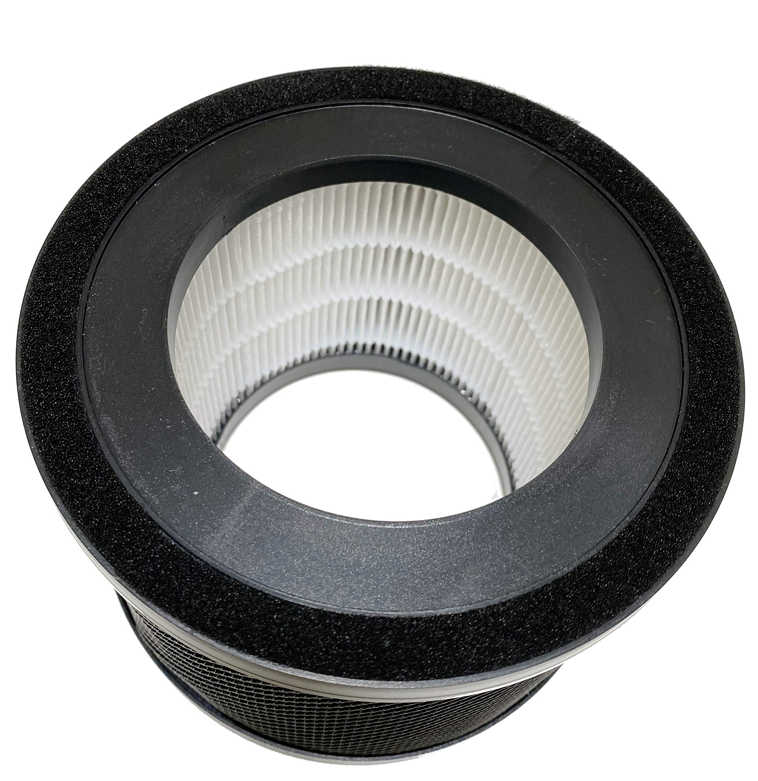 Nispira True HEPA Replacement Filter for Air Purifier, Compatible with Tao Tronics TT-AP001, 2 Packs