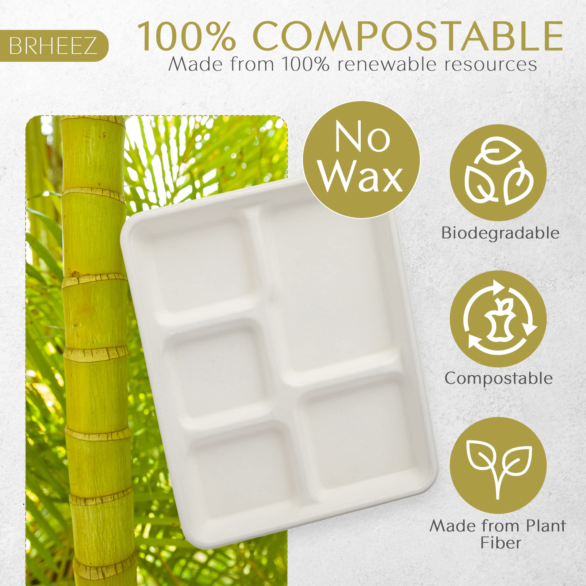brheez Eco-Friendly 6 Compartment 8.5βx12.5β Disposable School Tray - Made from Bagasse Sugar Cane Fiber - Biodegradable, Compostable & Chemical Free - Pack of 50