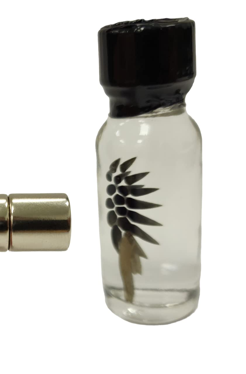 CCS CONSOLIDATED CHEMICAL & SOLVENTS Liquid Gold Ferrofluid Magnetic Liquid Display 15ML (1/2oz)