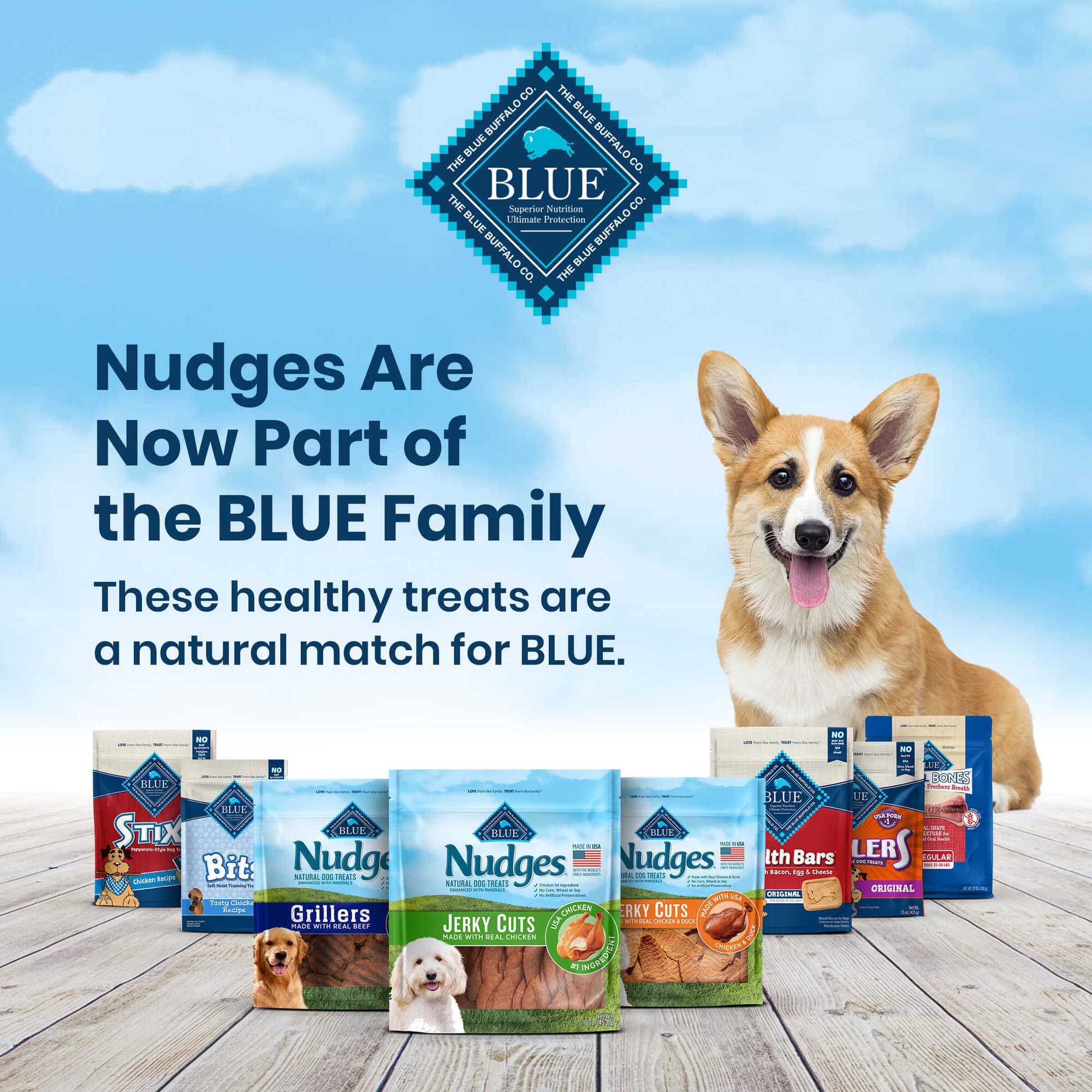 Blue Buffalo Nudges Grillers Natural Dog Treats, Steak, 16oz Bag