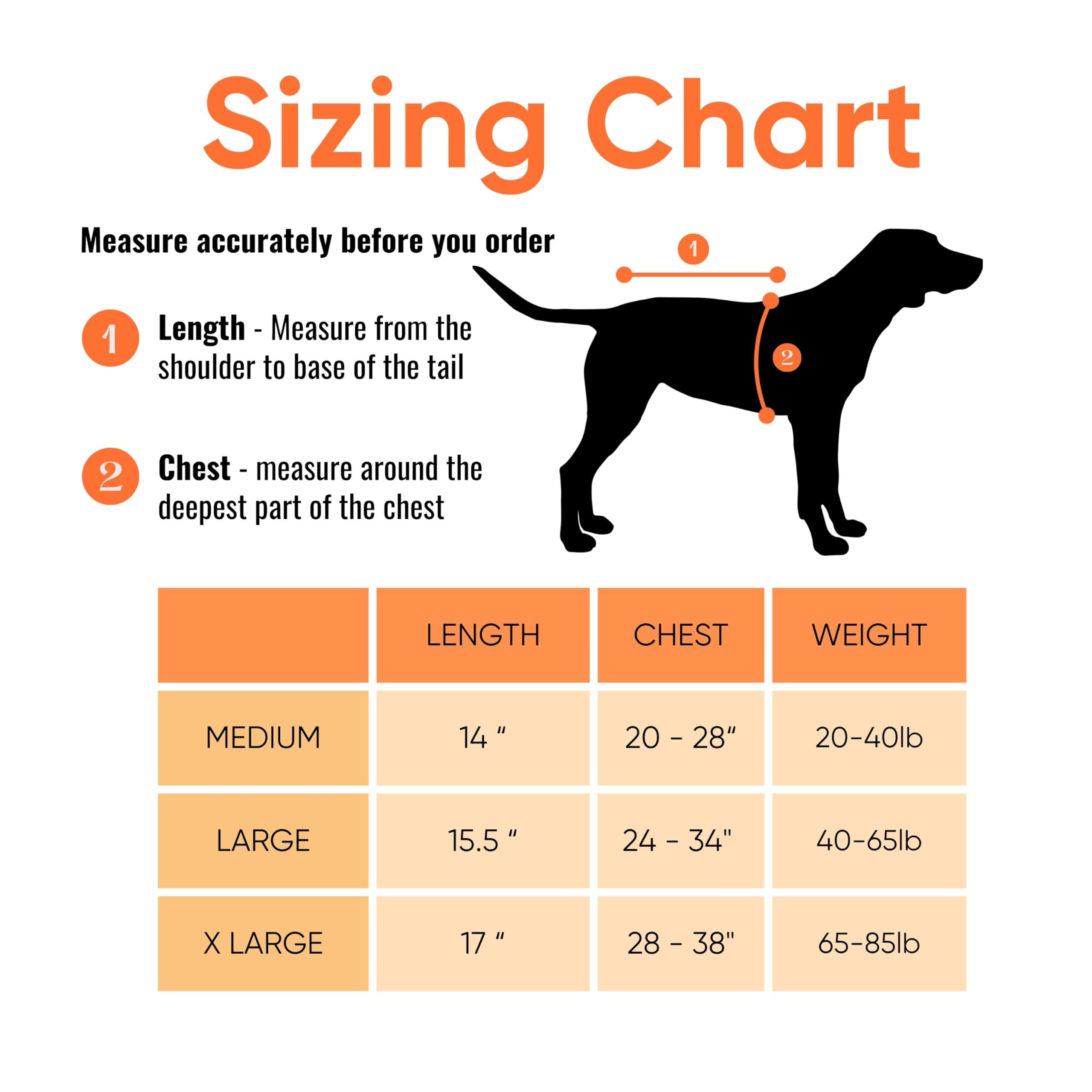 Dog Back Brace - Specialized IVDD Back Brace for Dogs, Arthritis Relief, Herniated Disc, Slipped Disc, Surgery Recovery - Dog Spine Support Harness - IVDD Dog Supplies, PetAngell - Large