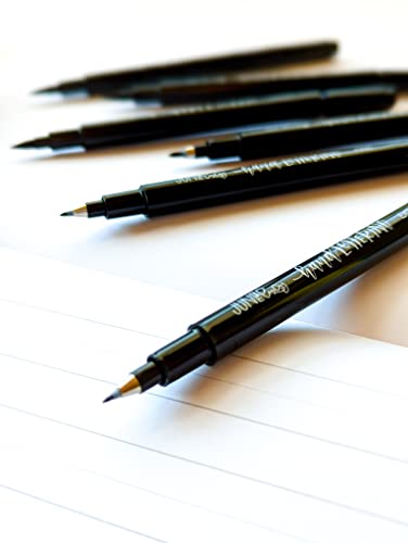 June & Lucy Calligraphy Kit for Beginners - Calligraphy Pen Set with Calligraphy Workbook