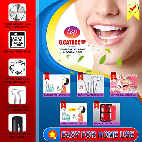 Dental Tools, Teeth Cleaning Tools, Professional Dental Hygiene Kit, Plaque Remover for Teeth, Stainless Steel Tooth Scraper Plaque Tartar Cleaner, Dental Scaler - with Case