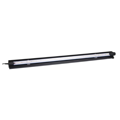 MarineLand Hidden LED Strip Light for Aquariums, White and Blue LEDs 21-Inch