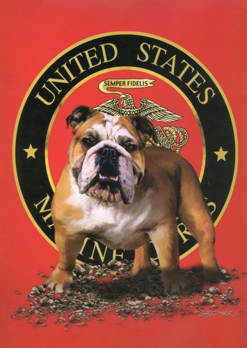 MARINES BULLDOG Queen Mink Blanket