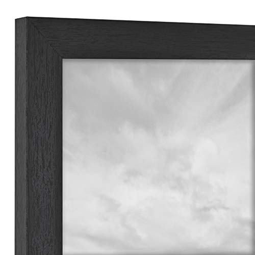 MCS Studio Document Frame, Gallery Wall Frame Fits 8.5 x 11 Diplomas, Documents & Certificates, Black Woodgrain, Single