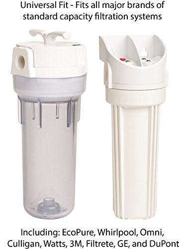 EcoPure EPW2B Whole House Replacement Filter, 2 Count (Pack of 1), White