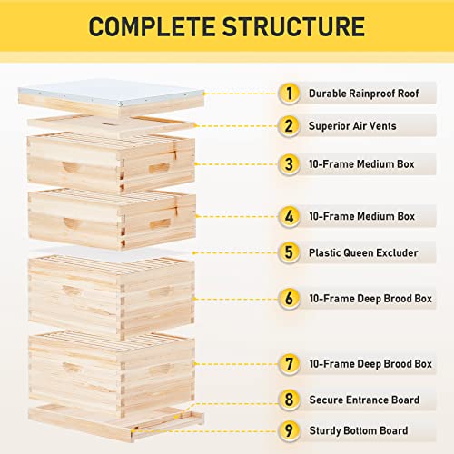 CREWORKS Bee Hive Boxes Starter Kit, Langstroth Beehive for Bee Keeping, 4 Layer Bee House with 20 Medium and 20 Deep Frames & Foundations, Beekeeping Supplies with Plastic Queen Excluder and Nails