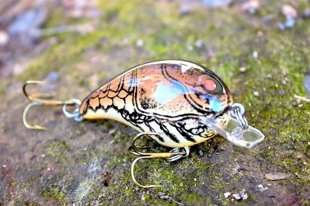 Bomber Lures Square A Crankbait Fishing Lure, Fishing Gear and Accessories, 2", 3/8 oz, Foxy Momma