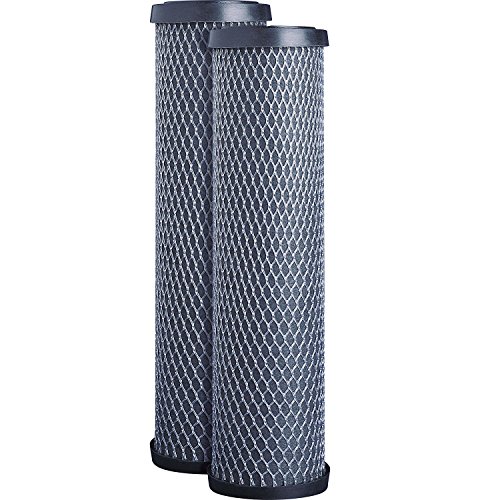 CFS – 2 Pack Carbon Block Water Filter Cartridges Compatible with FXWTC, 3WH-STDCW-F02, GXWH04F, GXWH20S Models – Remove Bad Taste & Odor – Whole House Replacement Filter Cartridge