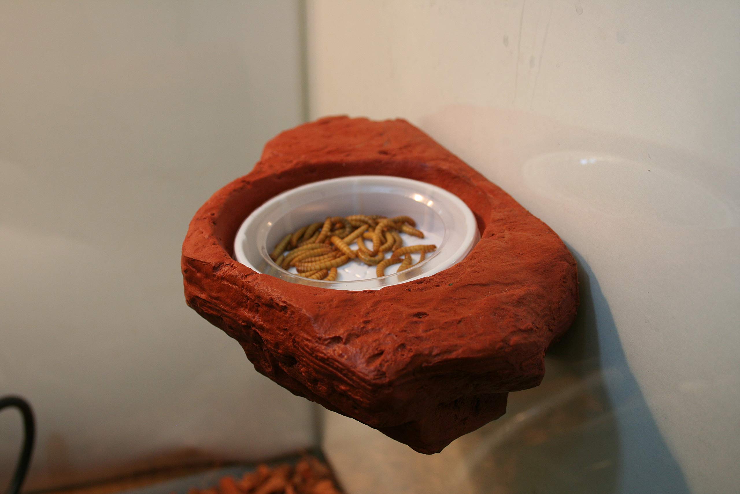 Magnaturals Small Worm Feeder Ledge Mojave Red - Magnetic Decor
