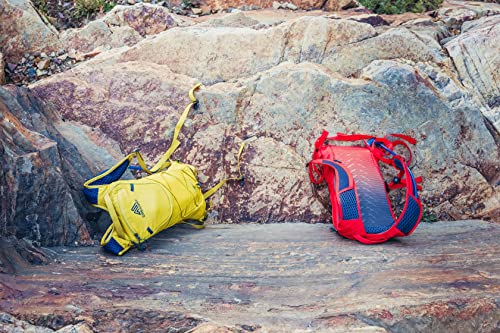Gregory Mountain Products Women's Pace 6 H2O, Mineral Yellow, One Size
