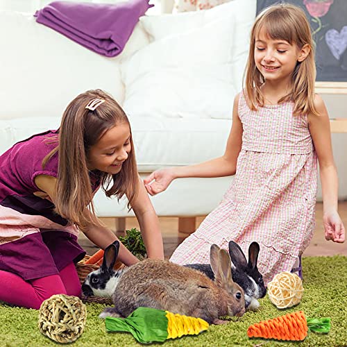 PD Bunny Chew Toys for Teeth, Natural Timothy Grass Small Animal Chew Toys, Mixed Grass and Molar Grass Cake and 2 Balls for Rabbits Chinchilla Hamsters Guinea Pigs Gerbils Groundhog Squirrels(14 pcs)