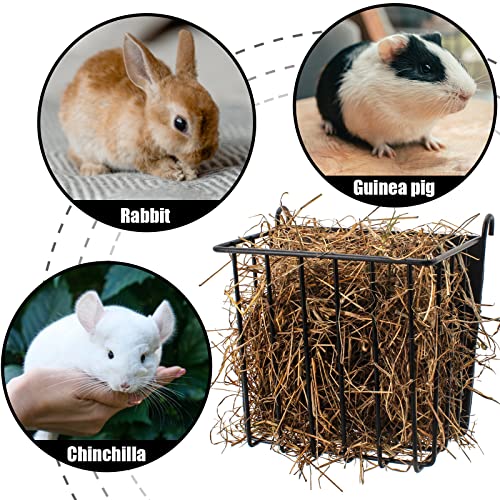 Guinea Pig Hay Feeder,Rabbit Hay Feeder with Heavy-Duty Metal Frame Hay Holder,for Bunny, Guinea Pigs,Chinchillas-6.9x4.7x6.6 inch