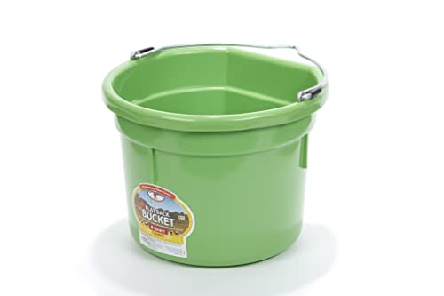 Little Giant® Flat Back Plastic Animal Feed Bucket | Animal Feed Bucket with Metal Handle | Horse Feed & Water Bucket | 8 Quarts | Lime Green