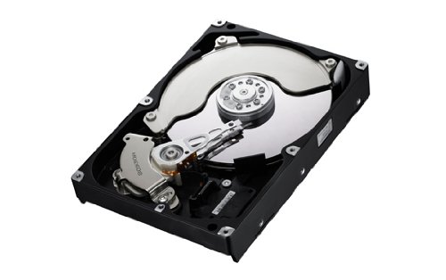 SpinPoint F3R HE103SJ 1 TB Internal Hard Drive