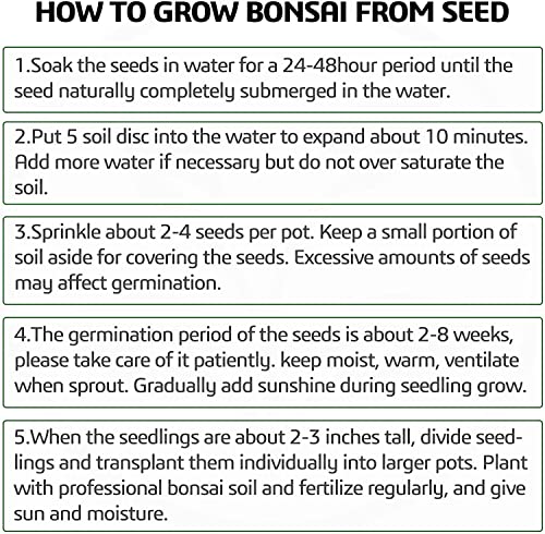 Meekear Bonsai Tree Kit with Complete Plant Growing Tools, Grow in Pot Indoor Bonsai Tree Starter Kit, Home Gardening DIY Gift for Adult (Growing into Acacia, Wisteria, Sakura, Red Maple, Black Pine)