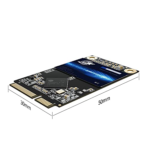 Dogfish mSATA SSD 250GB 3D NAND TLC SATA III 6 Gb/s, mSATA (30x50.9mm) Internal Solid State Drive - Compatible with Desktop PC Laptop - (MSATA 250GB)