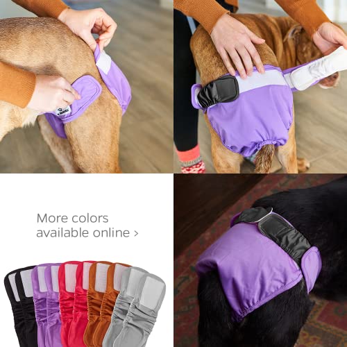 Pet Parents® Washable Dog Diapers (3pack) of Doggie Diapers, Color: Princess, Medium Dog Diapers