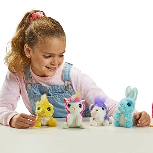 Little Live Scruff-A-Luvs Pets | Scruff-a-Luvs | Cutie Cuts Lil Snippers | Cut Fur, Reveal, Groom & Love Plush Rescue pet