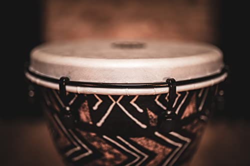 Meinl Percussion Djembe Hand Drum Circle Instrument with Synthetic Shell and Head, Alpine Series β NOT Made in China β Easy Tuning, 2-Year Warranty (ADJ12-KA)