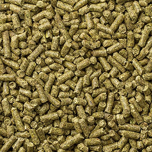 Mazuri | Chinchilla Diet | 25 Pound (25 lb.) Bag