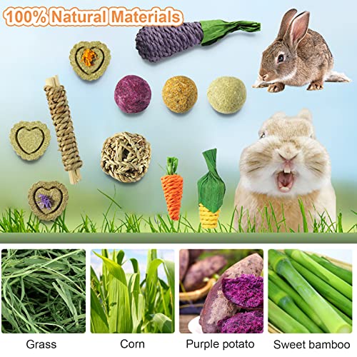PD Bunny Chew Toys for Teeth, Natural Timothy Grass Small Animal Chew Toys, Mixed Grass and Molar Grass Cake and 2 Balls for Rabbits Chinchilla Hamsters Guinea Pigs Gerbils Groundhog Squirrels(14 pcs)