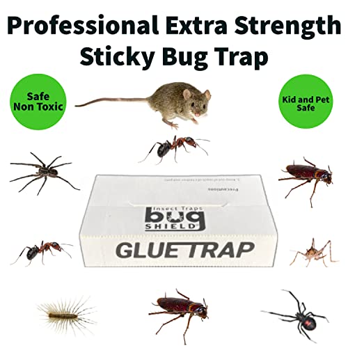 Bug Shield Sticky Glue Traps 12 Glue Boards, All Types of Incets, Spiders, Cockroaches, Ants, Cave Crickets, and More. Professional Strength Glue.